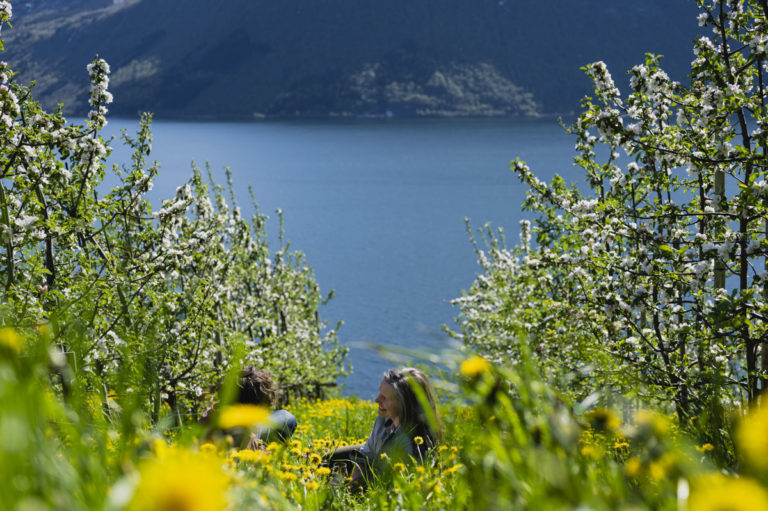 Hotel - Valldal Fjordhotell